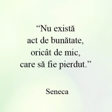 Citate despre bunătate